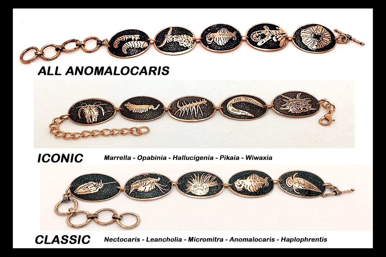 Burgess Shale Fauna Etched in Copper Link Bracelet - Choice of Three - Etsy