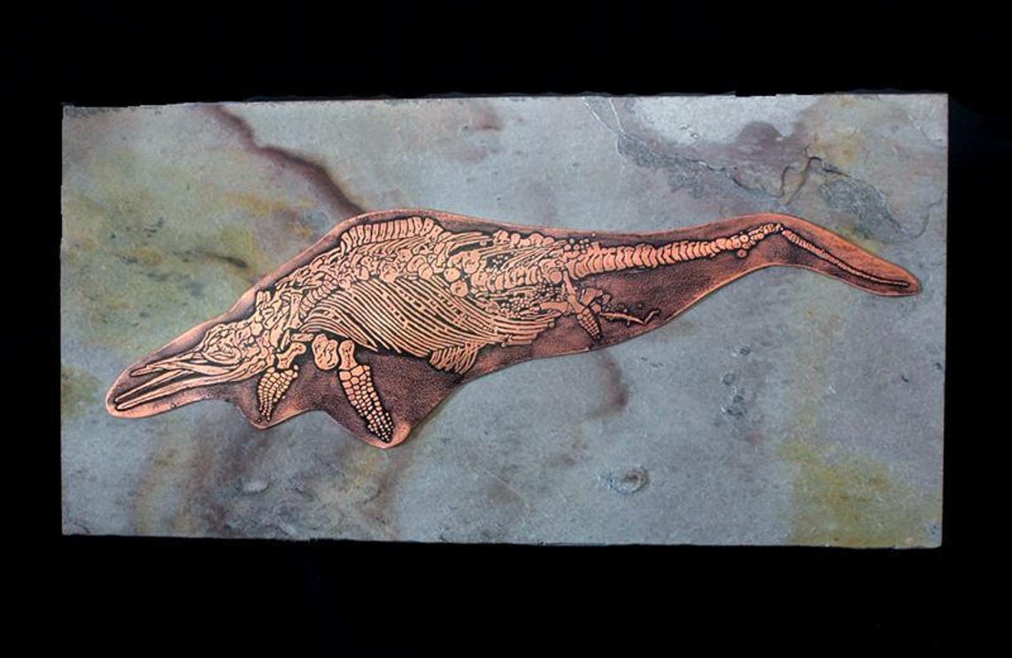Etched Copper on Slate Ichthyosaur Fossil Design Art Block - Etsy
