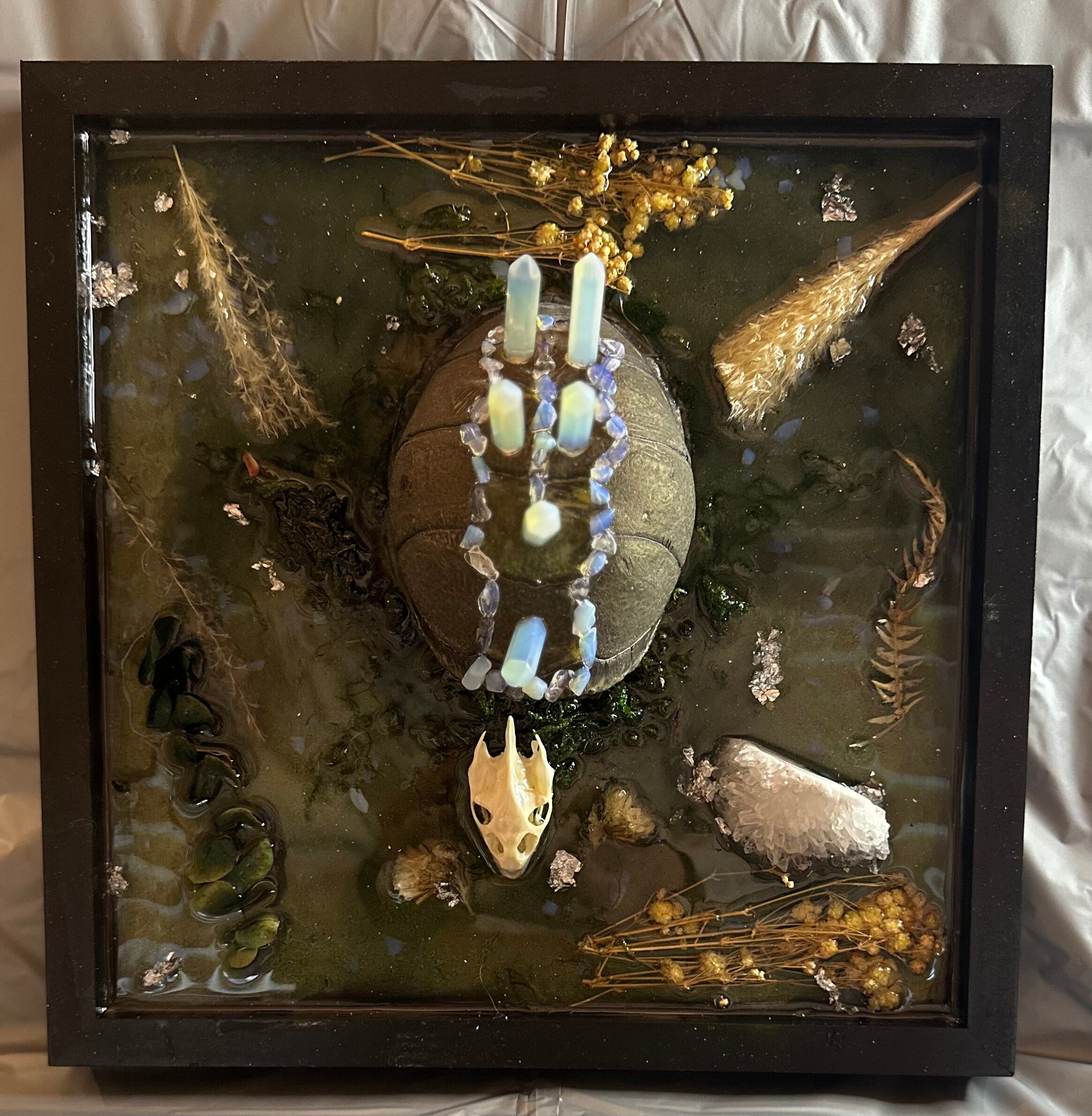 Turtle Skull and Shell Shadow Box - Etsy