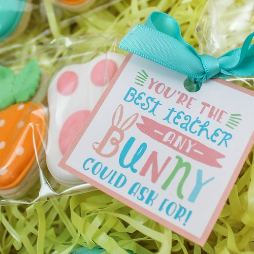You're the Best Teacher Any Bunny Could Ask For | Etsy