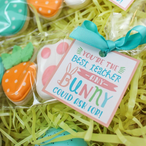 You're No Bunny - Etsy
