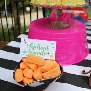 Party Animal Zoo Party - Food Signs, Bottle Labels, Table Signs ...