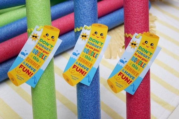 Pool Noodle End of Year Gift for Class, Pool Noodle Printable Tag, End ...