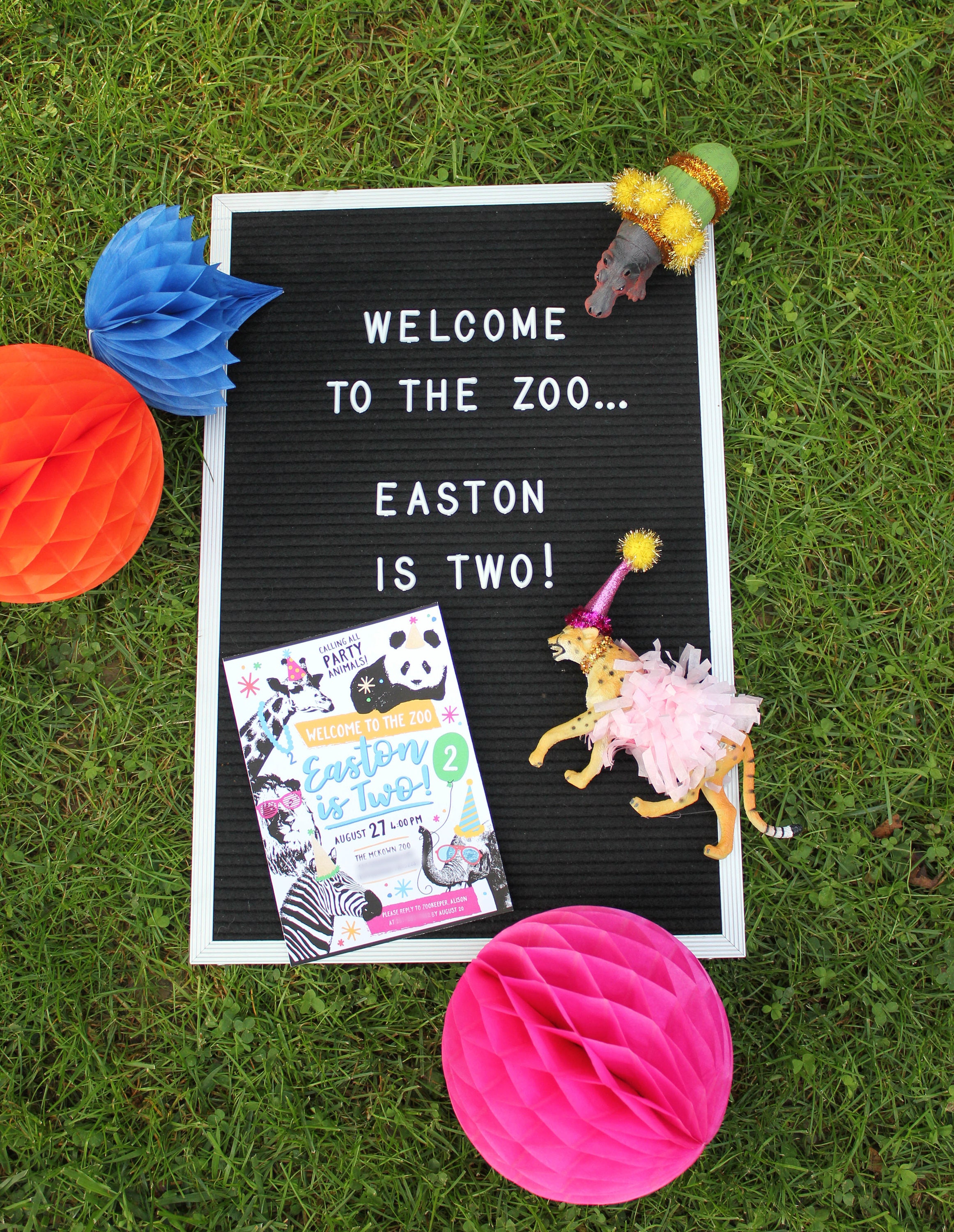 Party Animal Zoo Birthday Invitation, Kid's Birthday, Party Animal, Zoo ...