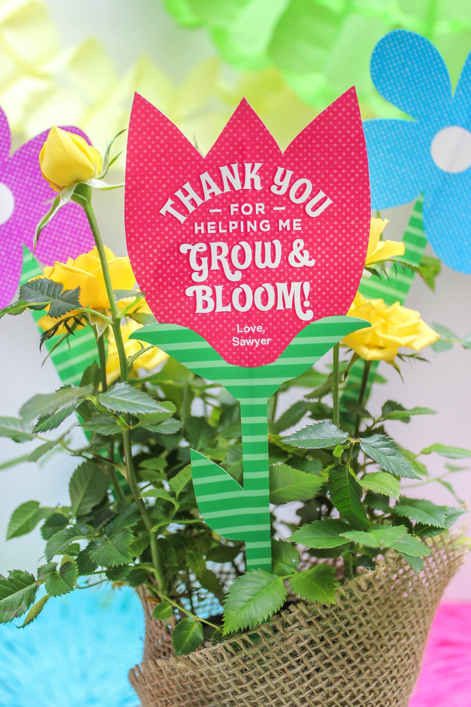 Grow and Bloom Flower Teacher Gift Printables, Teacher Appreciation ...
