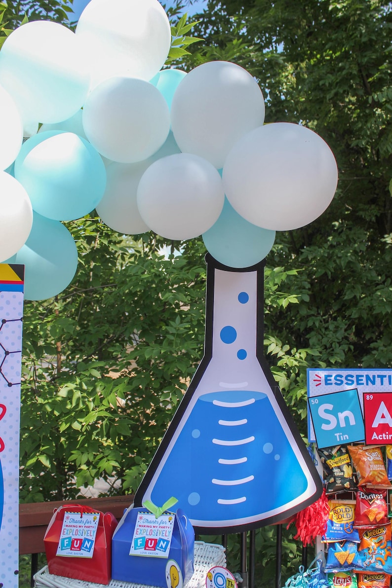 Science Birthday Party Decor Printable Pack, Mad Scientist Party, Kids ...
