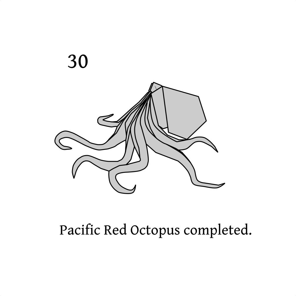 Origami Pacific Red Octopus - Diagrams | PDF Download - Etsy