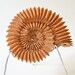 Ammonite 2, Origami Sculpture - Etsy