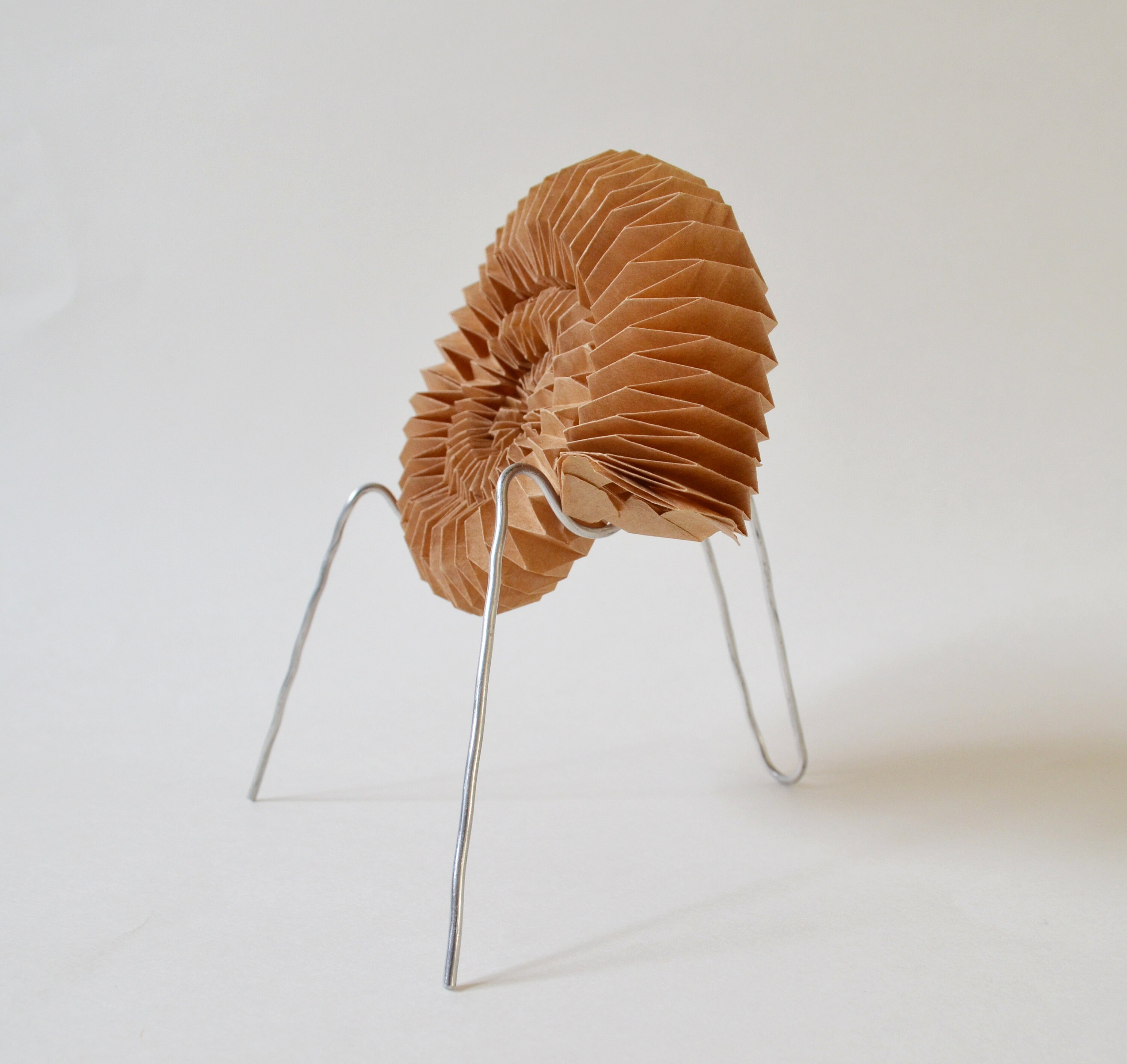 Ammonite 2, Origami Sculpture - Etsy
