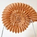Ammonite 1, Origami Sculpture - Etsy