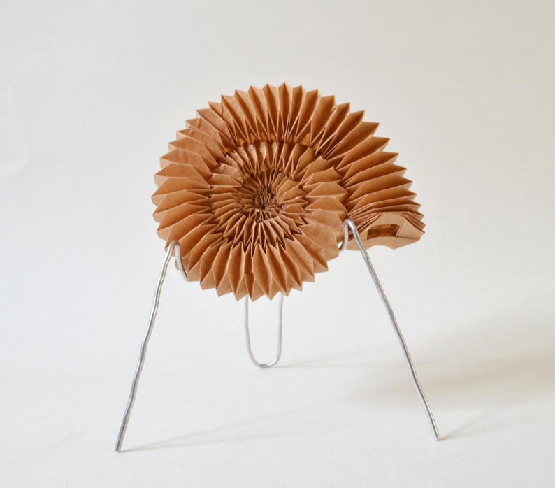 Ammonite 2, Origami Sculpture - Etsy