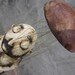 Ceramic Man in the Shower - Etsy