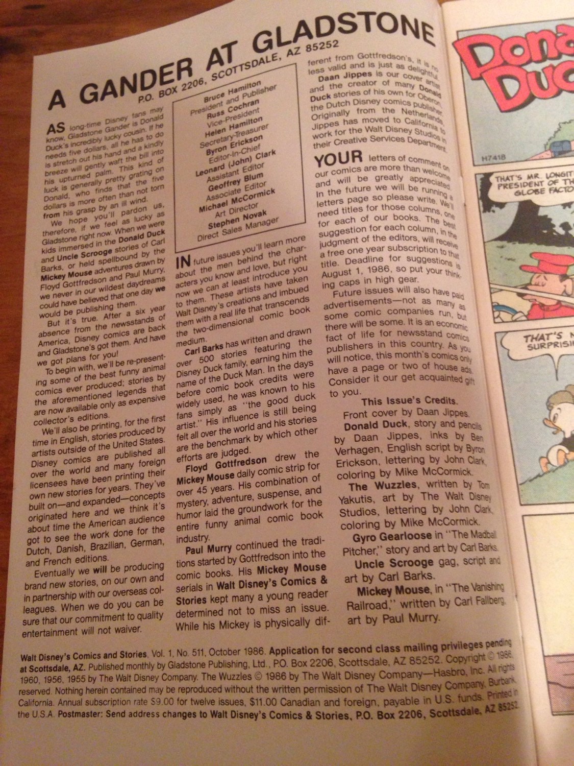 Donald Duck Cookout Picnic Huey Duey Louie Comic Book Walt - Etsy