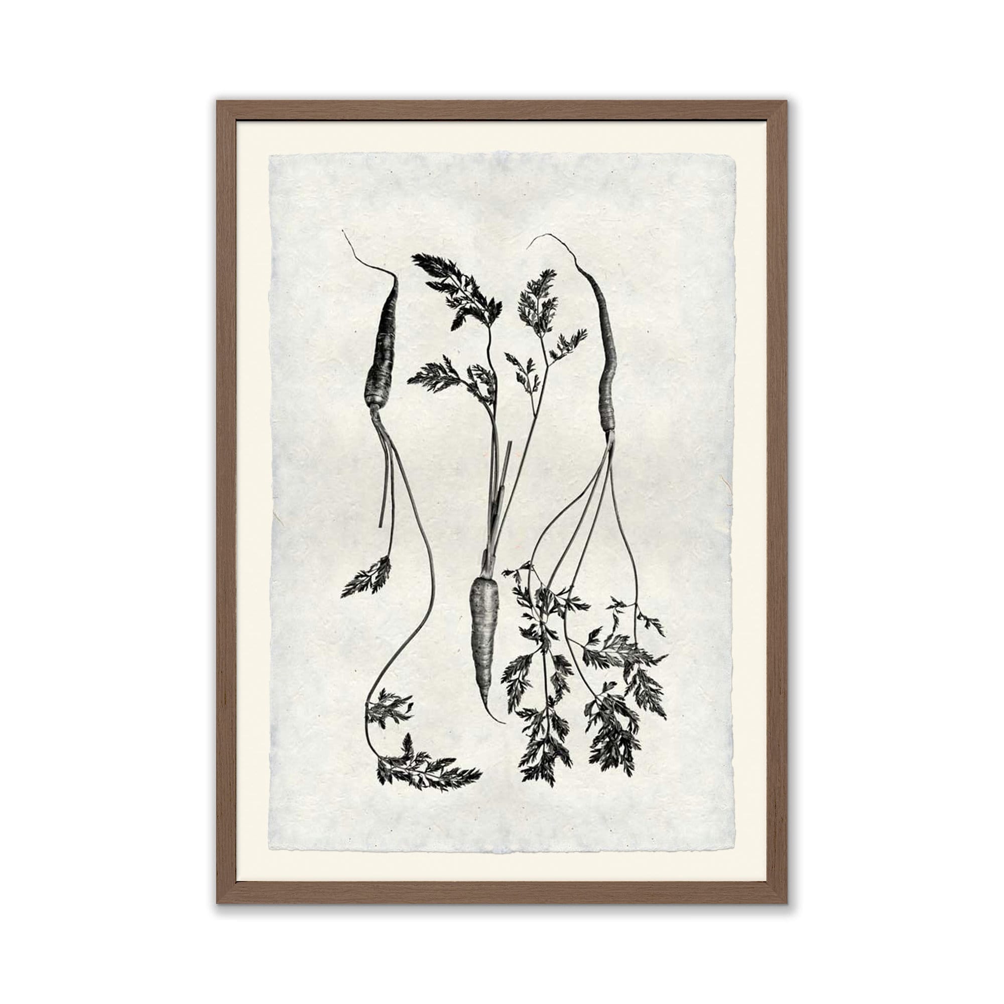 Barloga: Three Carrots 20x30 Photographic Print on Hand-made - Etsy