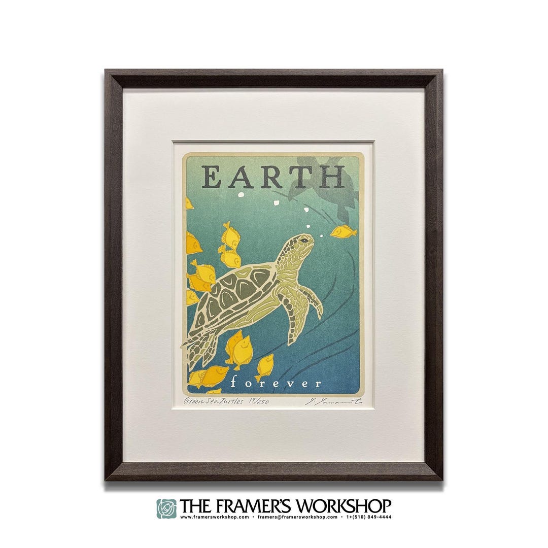 Green Sea Turtles, Framed Limited Edition Letterpress Print by Yoshiko ...