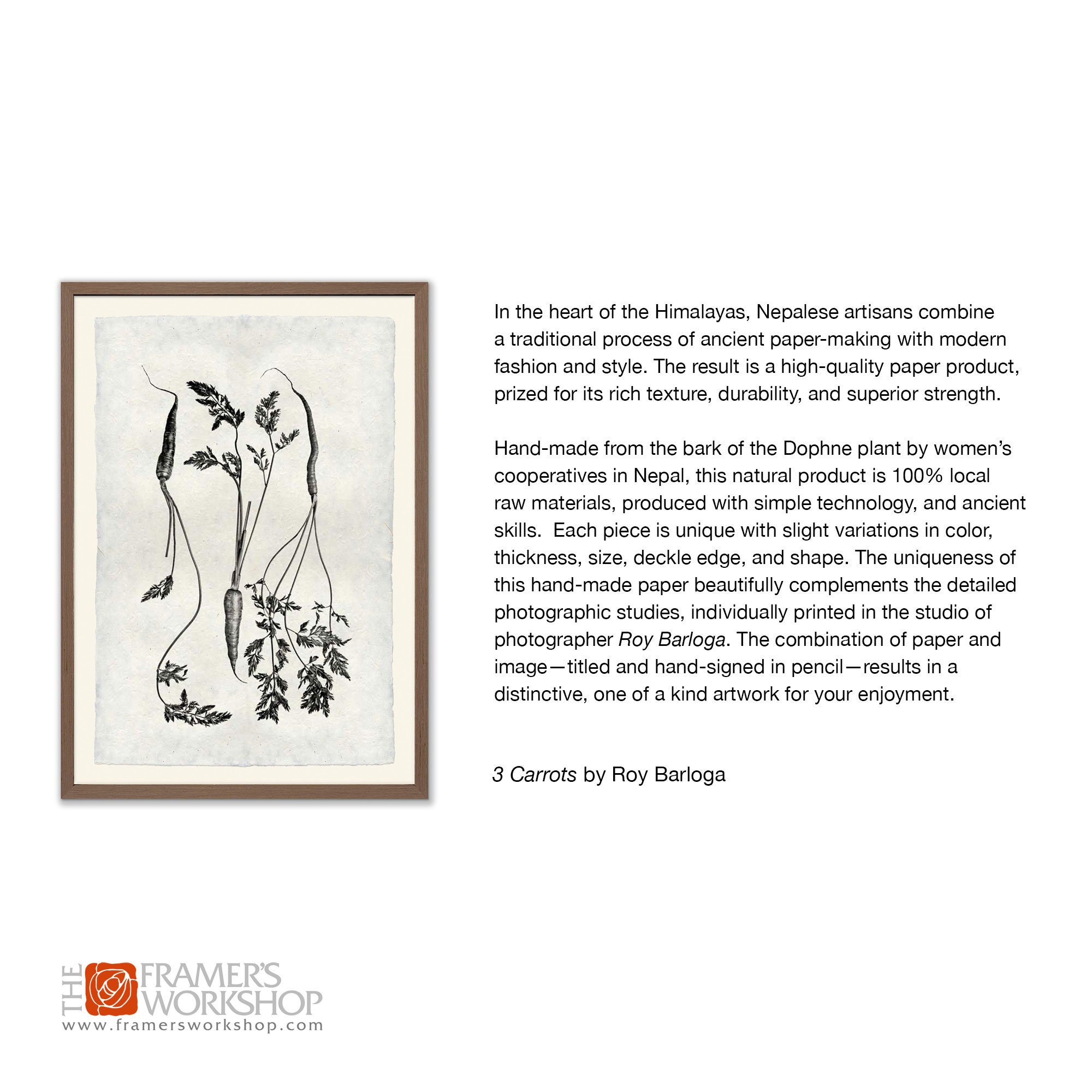 Barloga: Three Carrots 20x30 Photographic Print on Hand-made - Etsy