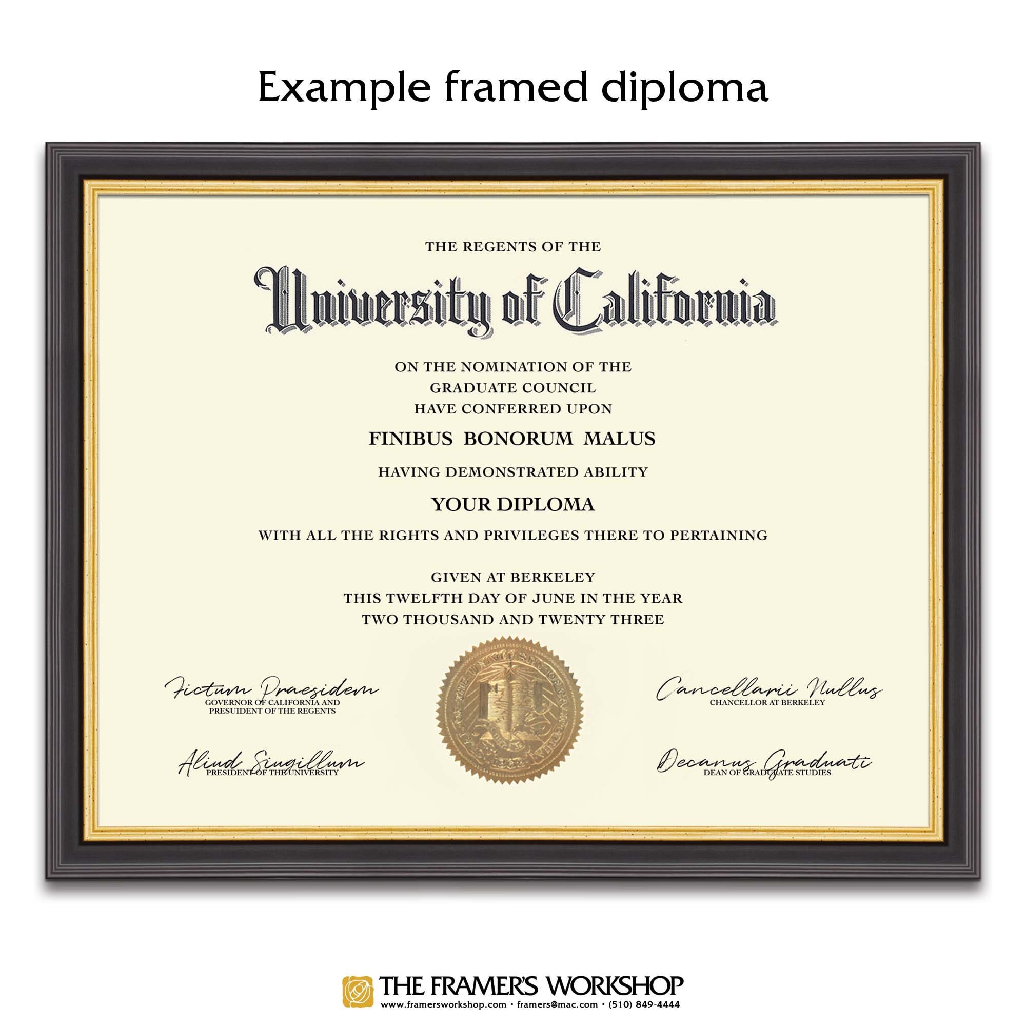 Classic Design 8.5x11 Diploma Frame With Conservation Components - Etsy