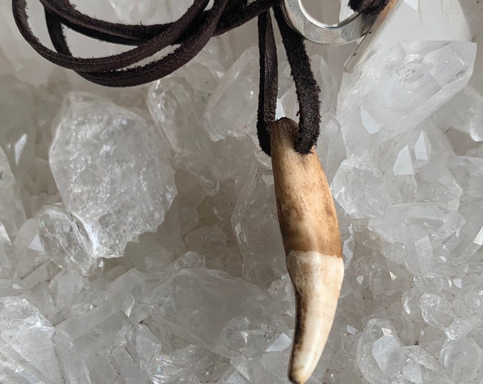 Wolf Tooth Necklace Wolf Teeth Necklace Wolf Necklace Wolf Tooth ...