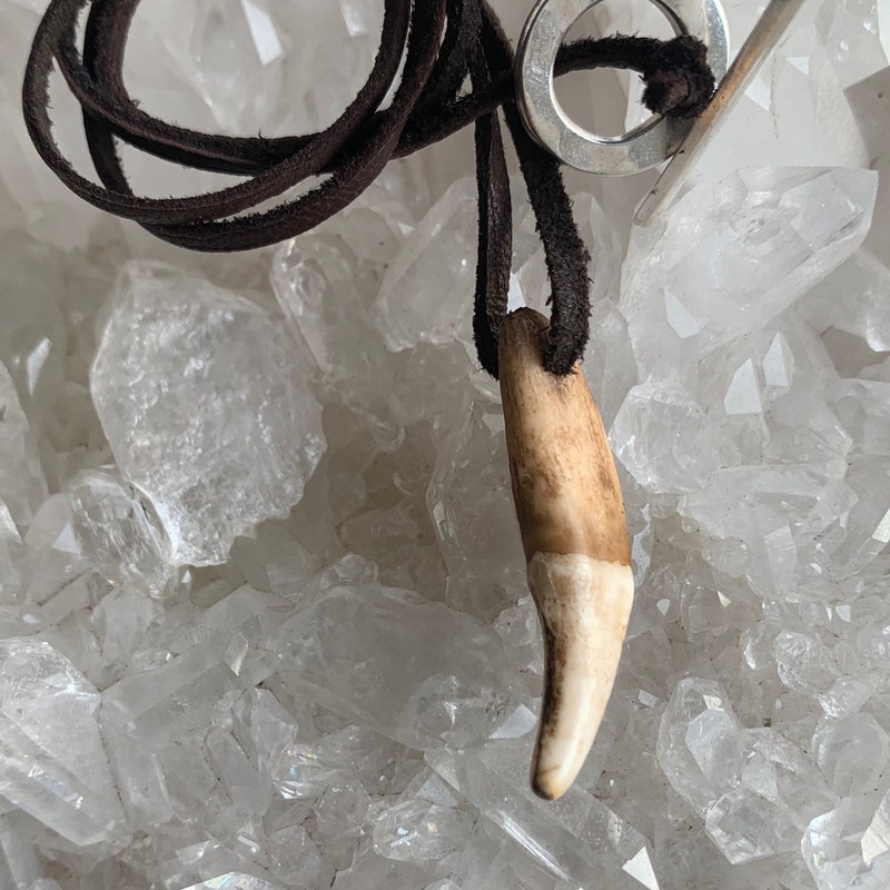 Wolf Tooth Necklace Men - Etsy