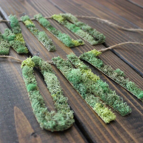 Moss Banner - Etsy