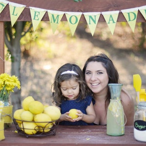 Lemonade Banner Lemonade Stand Banner Lemonade Photo Prop - Etsy