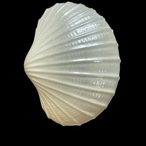 SCALLOP Dish…covered Dish…textured With Pearl Shine…ceramic Scallop ...