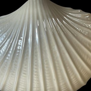 SCALLOP Dish…covered Dish…textured With Pearl Shine…ceramic Scallop ...