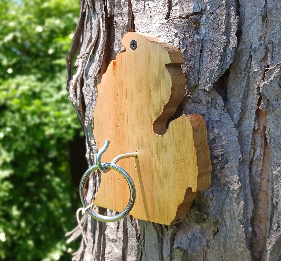 Michigan Hook and Ring Game - Michigan Shaped Hook and Loop Outdoor ...