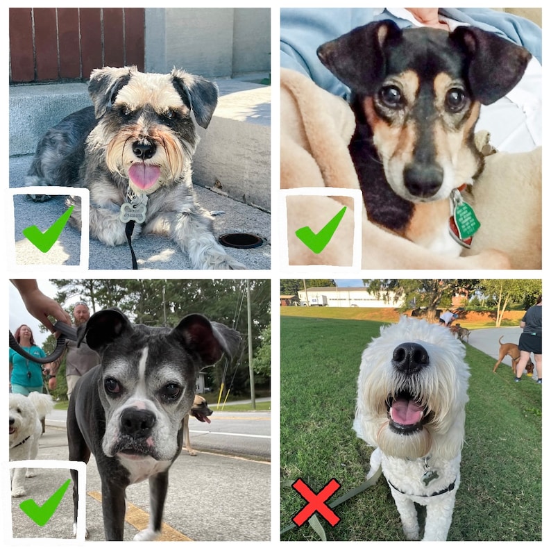 Custom Dog Ear Outline Sign Unique Pet Memorial Gift Pet - Etsy