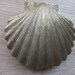 SOLID BRASS Architectural Sea Shell Door Knocker Vintage Retro | Etsy