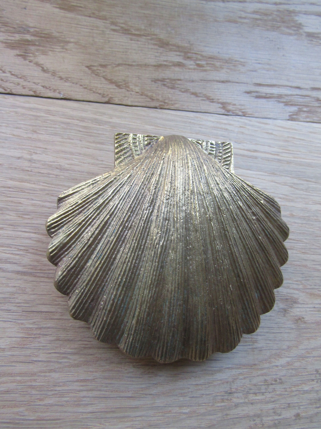 SOLID BRASS Architectural Sea Shell Door Knocker Vintage Retro Old ...
