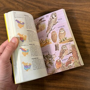 1966 A Guide to Field Identification Birds of North America 13656 ...