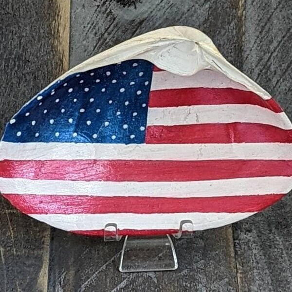 Painted Seashells - Etsy