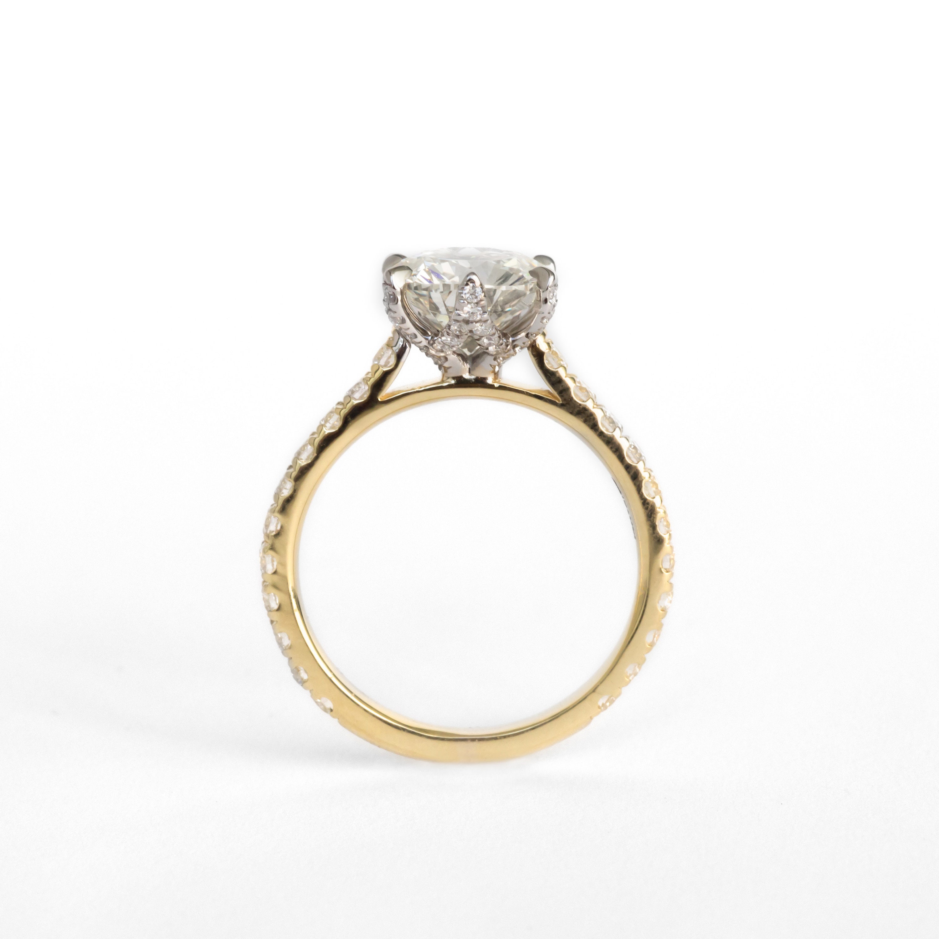 6 Prong Tulip Solitaire Setting With Diamonds up the Prongs & Along the ...