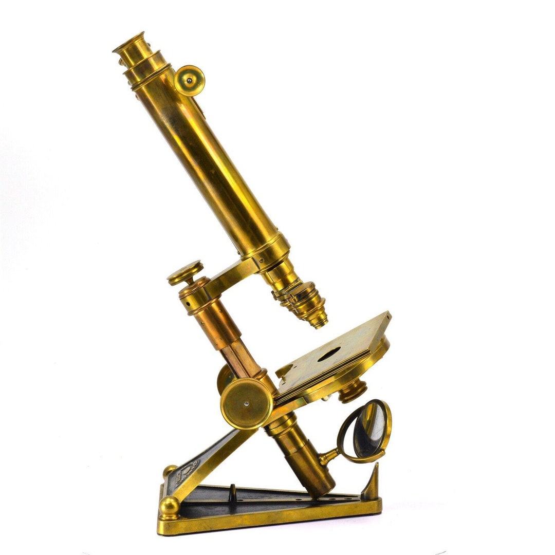Microscope Binocular Smith, Beck & Beck English, 1857-1866 Circa 1860 ...