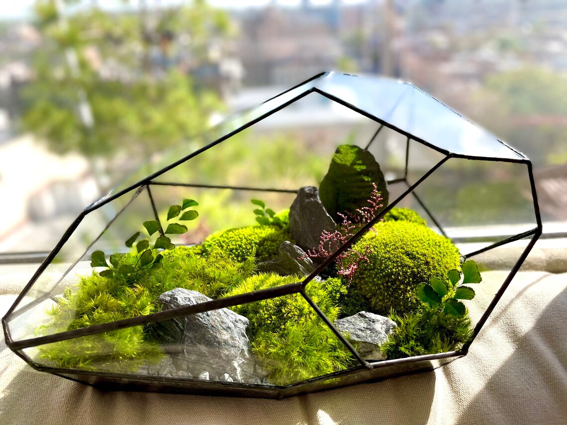 Moss Terrarium Zen Garden with Preserved Moss so not live | Etsy