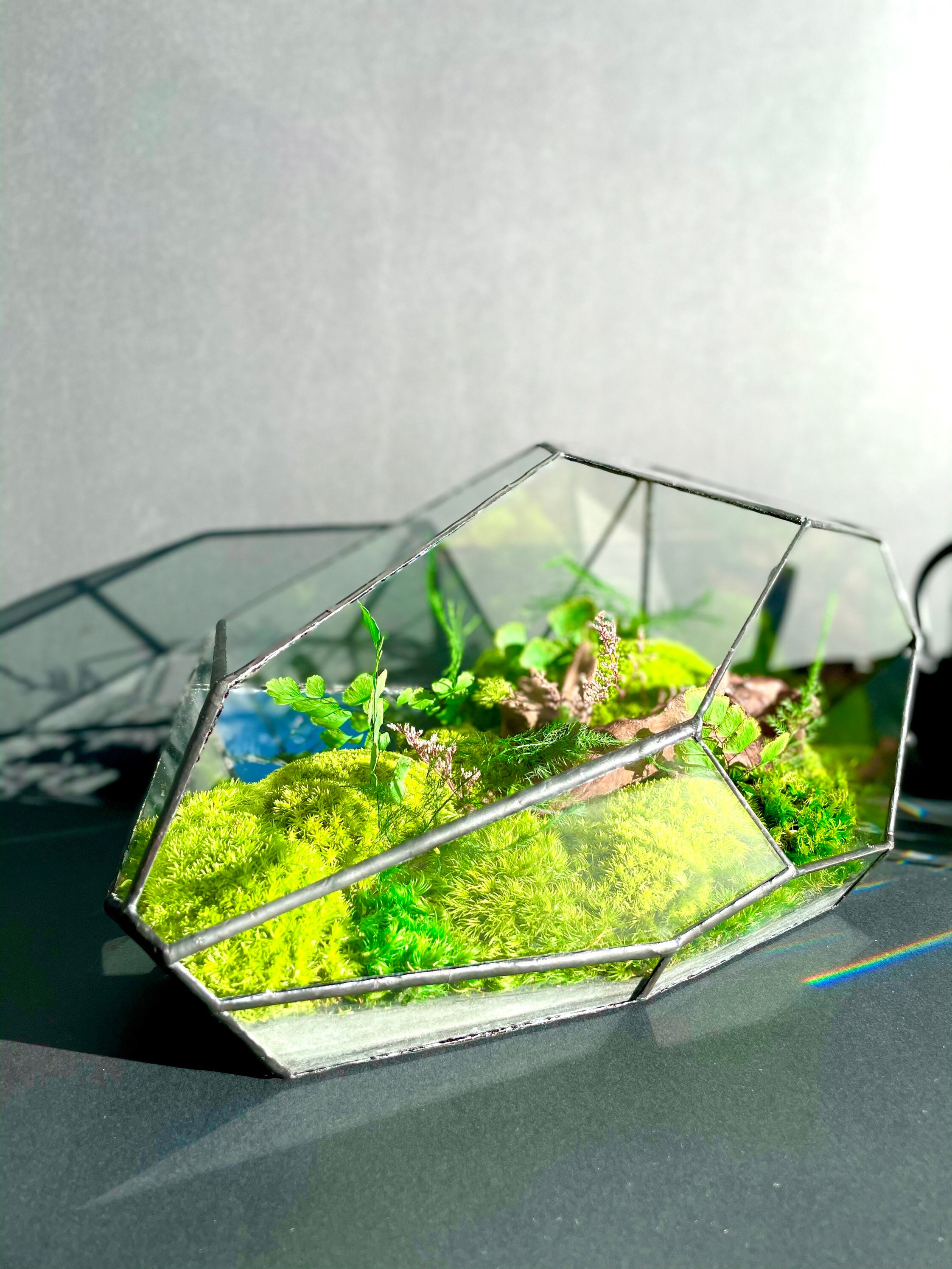 Moss Terrarium Zen Garden with Preserved Moss so not live | Etsy