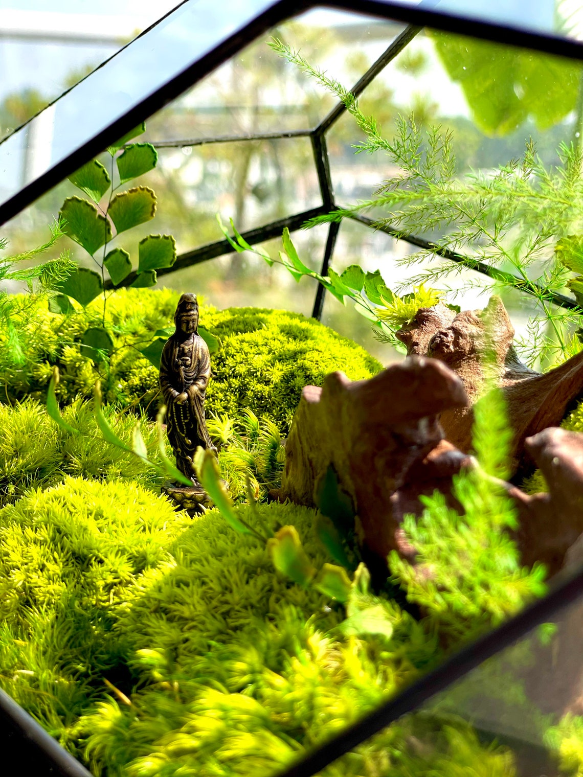 Moss Terrarium Zen Garden with Preserved Moss so not live | Etsy