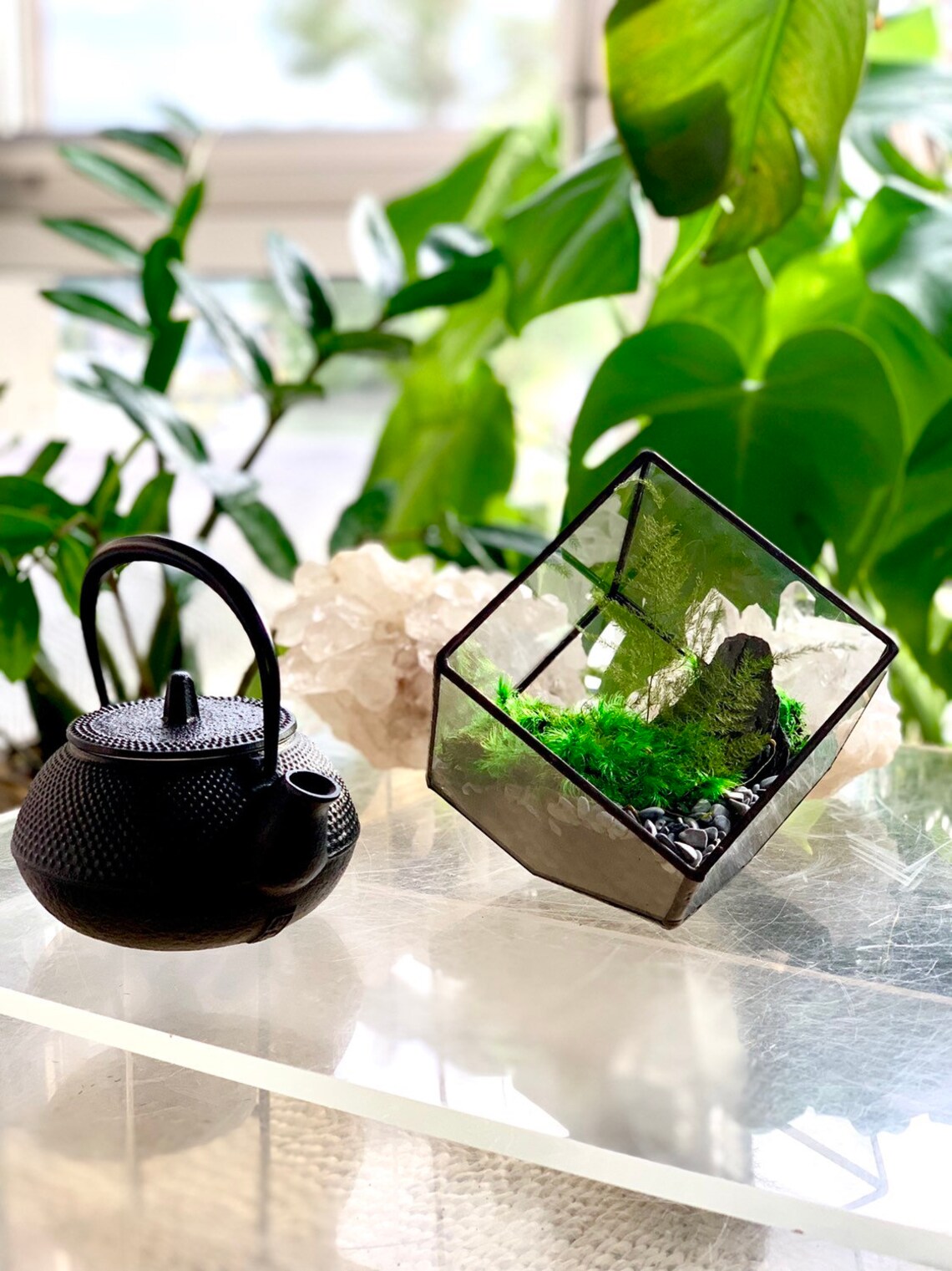 Moss Zen Garden Terrarium Cube DYI Kit with Preserved Moss | Etsy