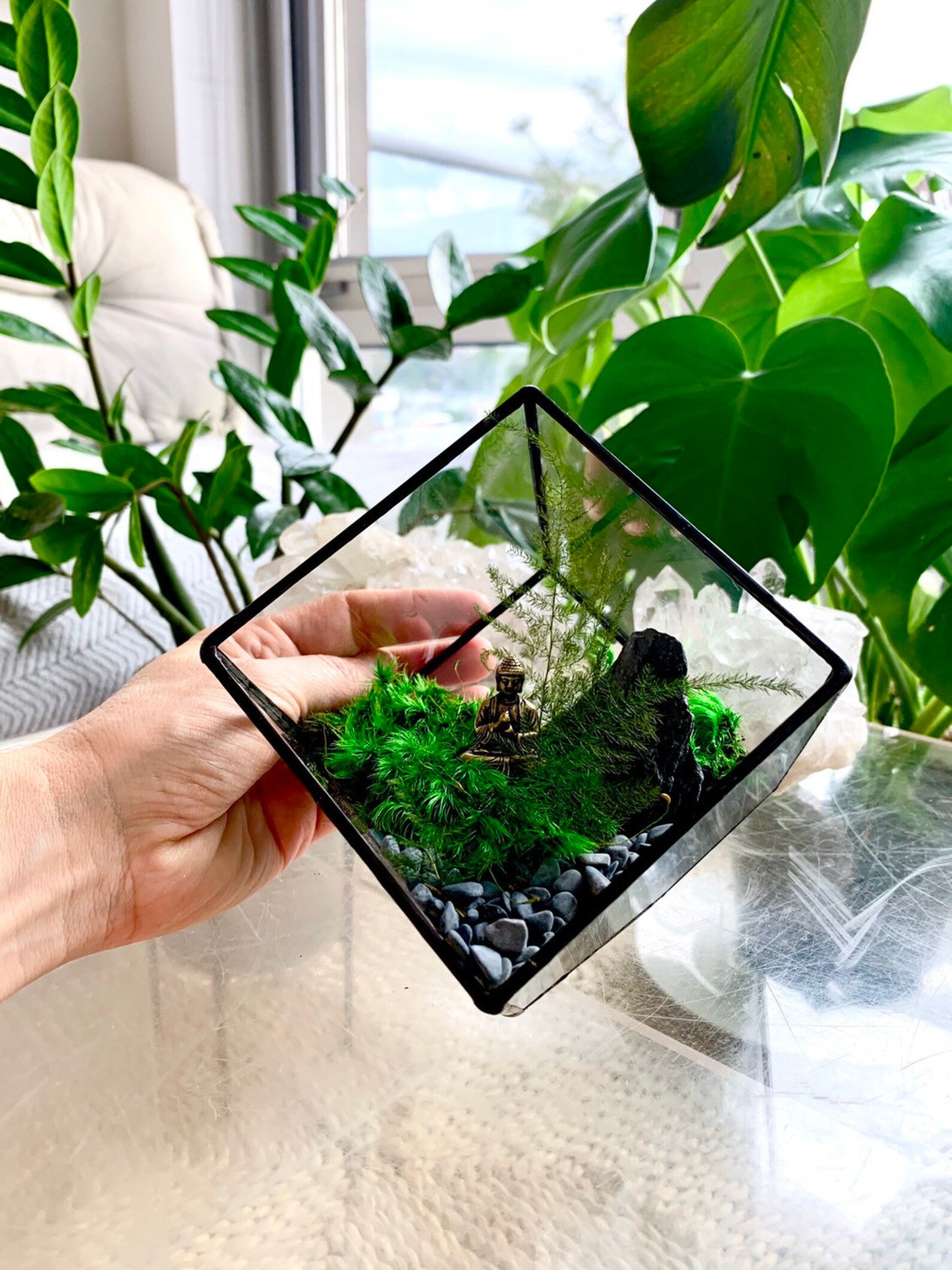 Moss Zen Garden Terrarium Cube DYI Kit with Preserved Moss | Etsy