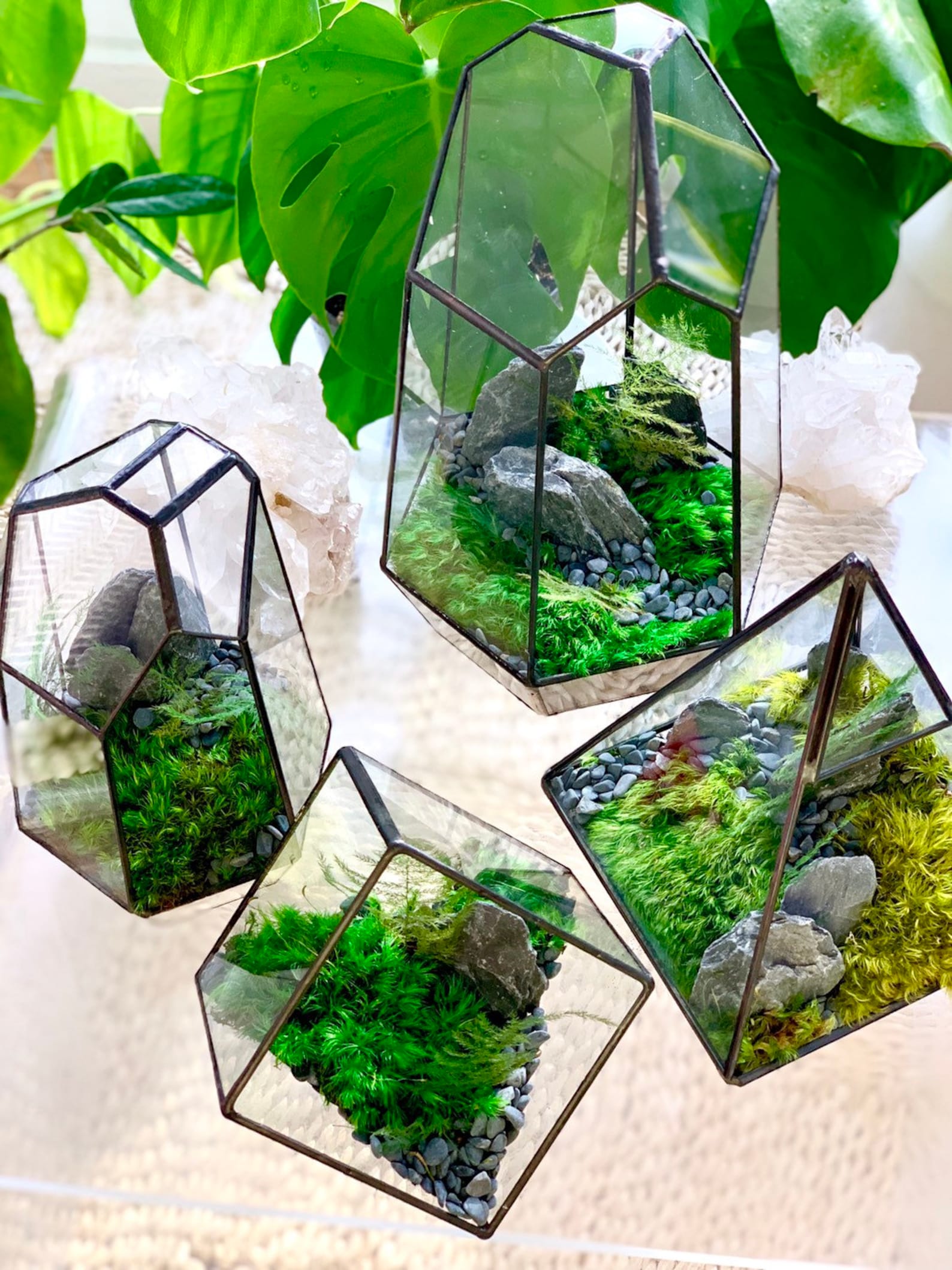 Moss Zen Garden Terrarium Cube DYI Kit with Preserved Moss | Etsy