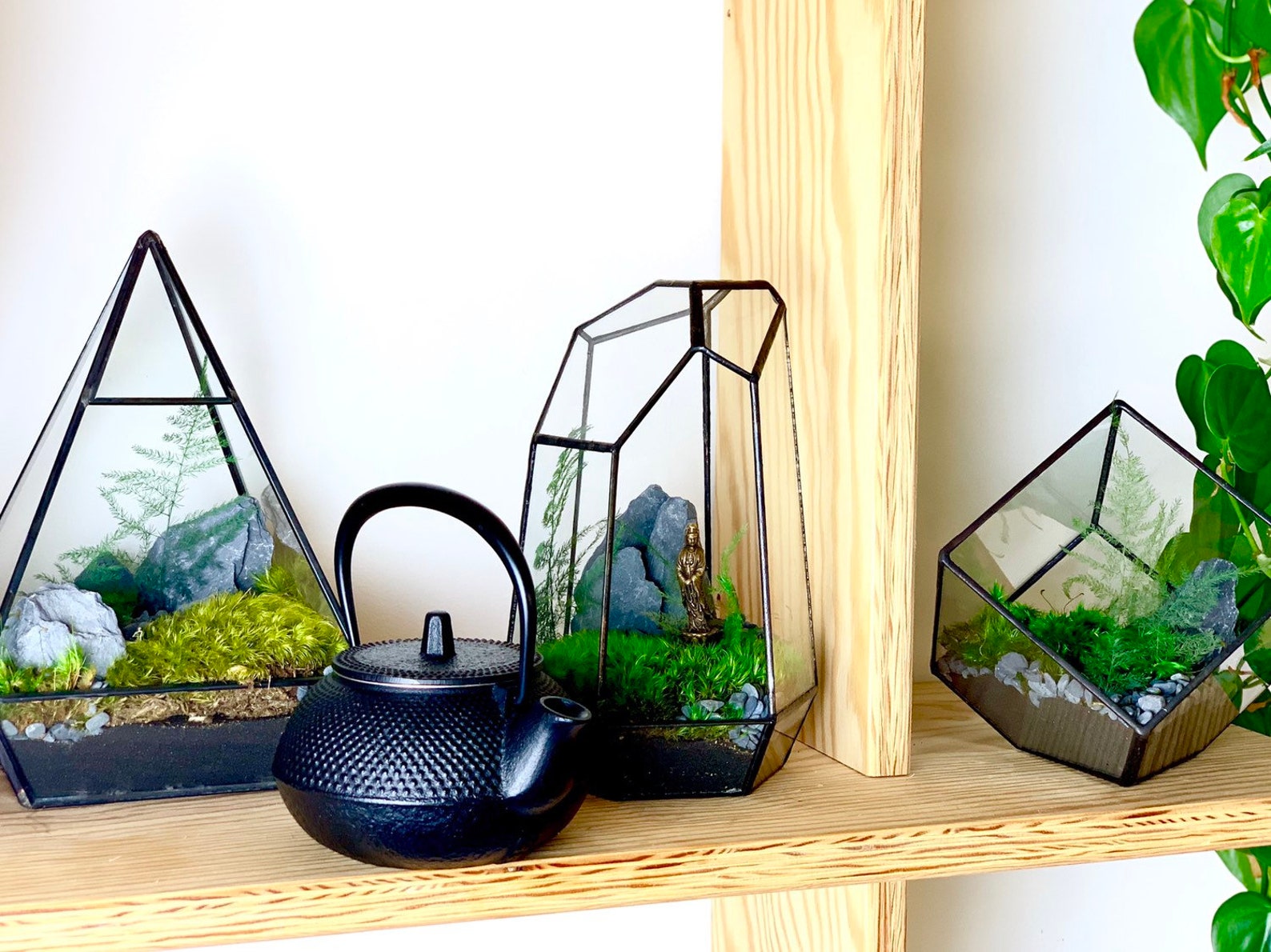 Moss Zen Garden Terrarium Cube DYI Kit with Preserved Moss | Etsy