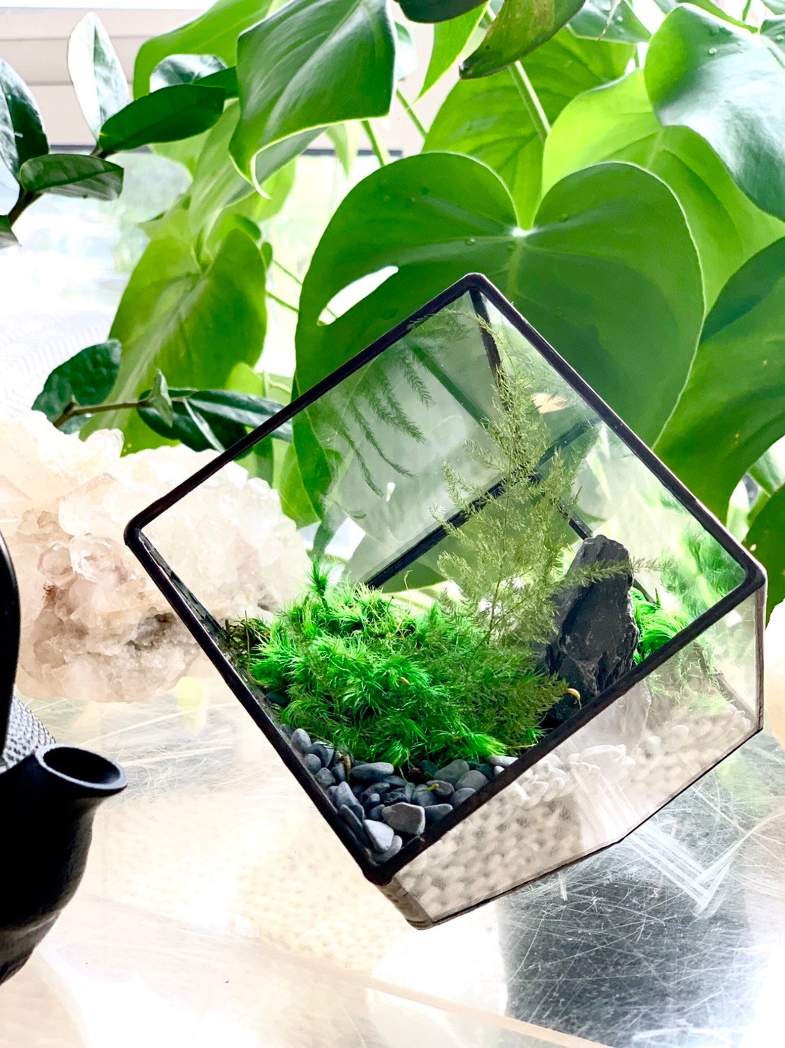 Moss Zen Garden Terrarium Cube DYI Kit with Preserved Moss | Etsy