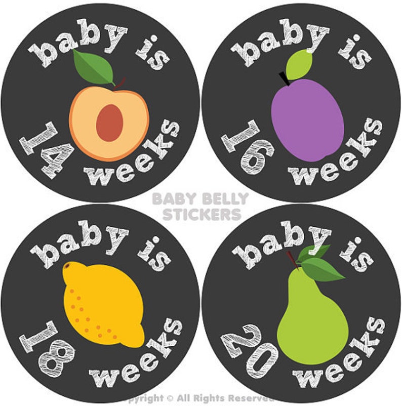 Pregnancy Stickers Maternity Stickers Bi-Weekly Pregnancy | Etsy