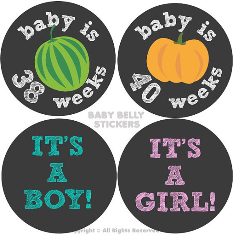 Pregnancy Stickers Maternity Stickers Bi-Weekly Pregnancy | Etsy