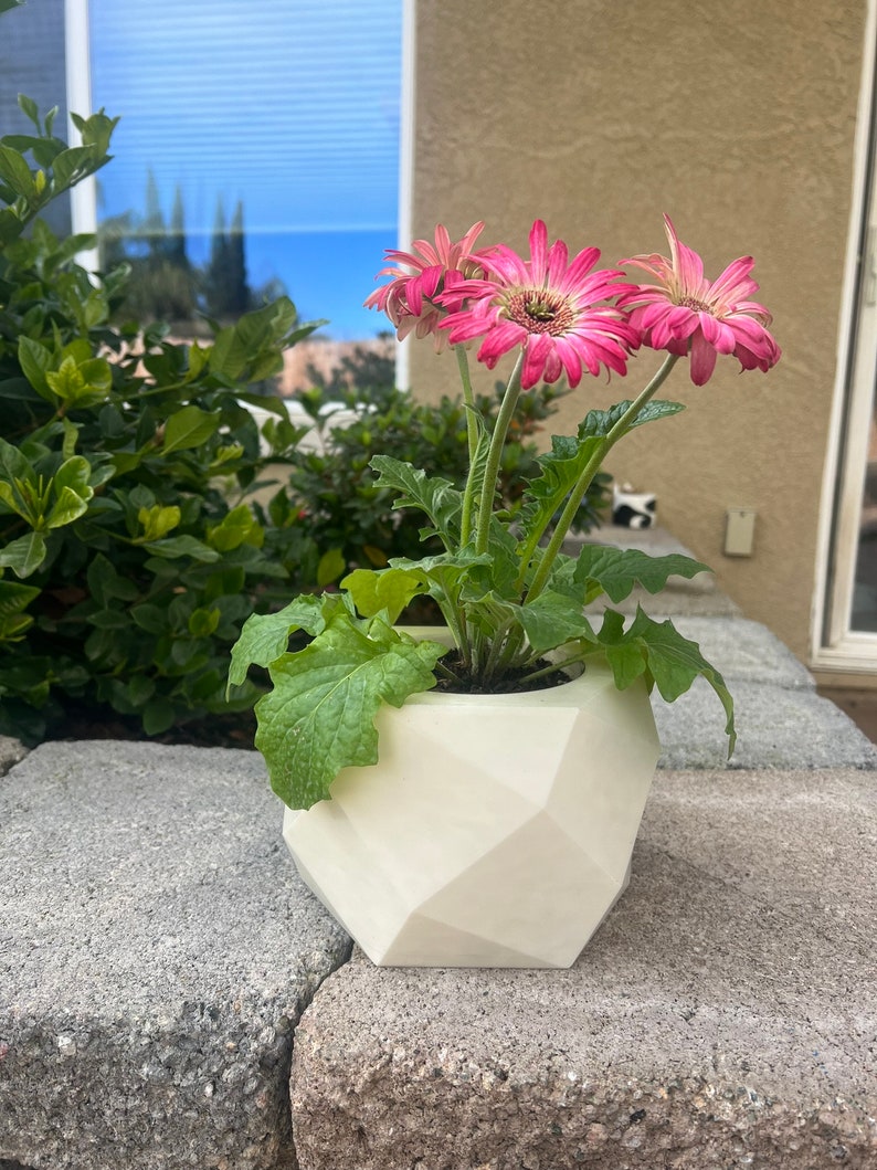 Modern Planter Pot - Etsy