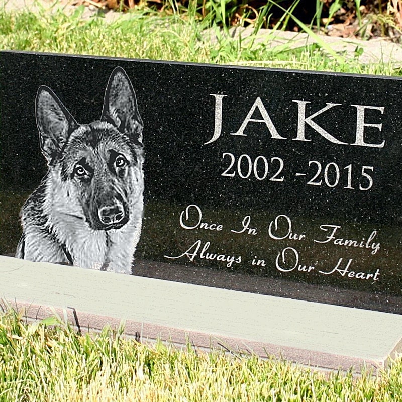 Photo Plaque Pet Stone - Etsy