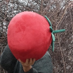 The Biggest Tomato Pillow in My Store, Velvet Veggie, Pretend Food, New ...