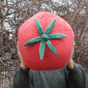 The Biggest Tomato Pillow in My Store, Velvet Veggie, Pretend Food, New ...