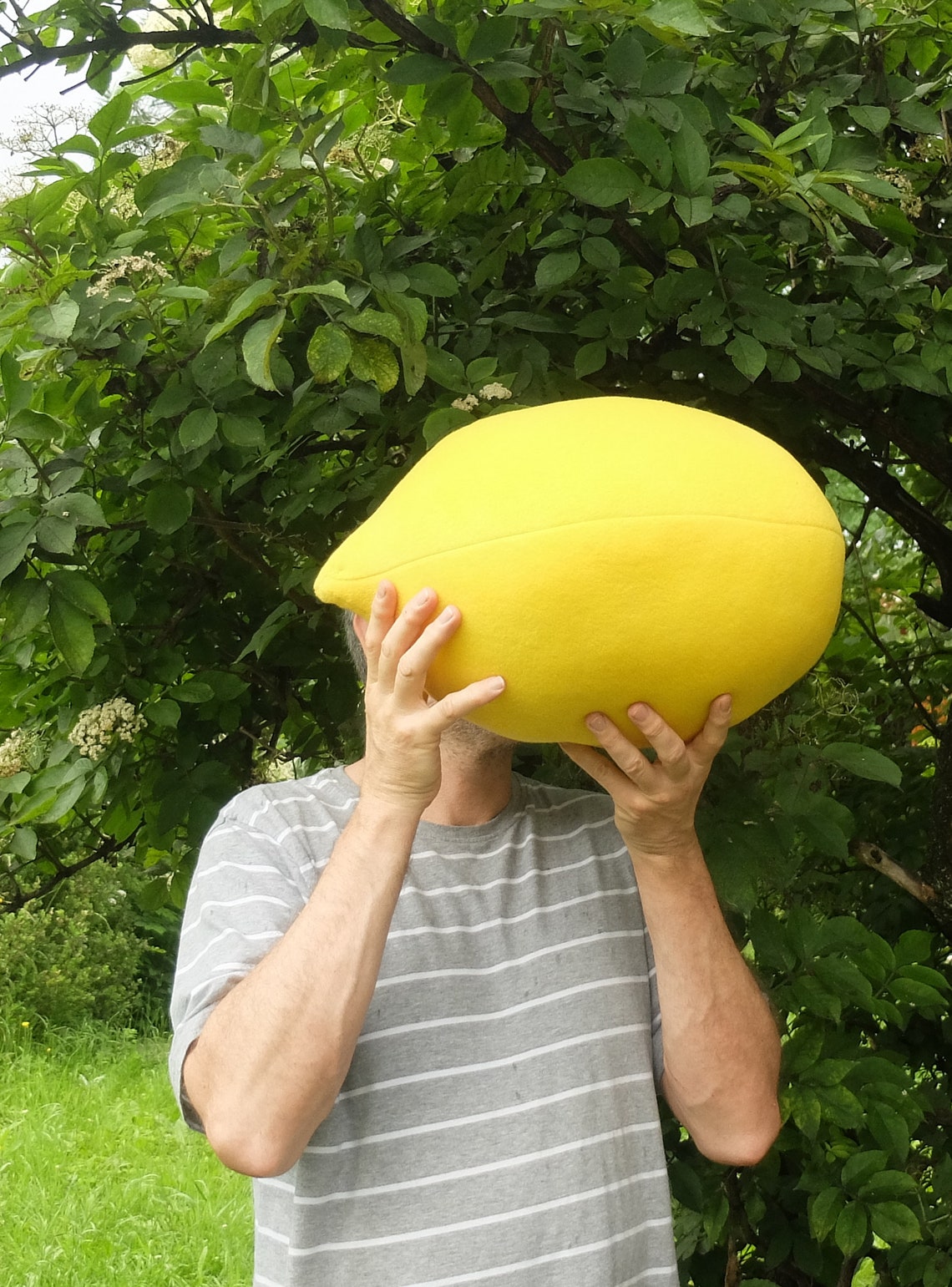 Giant Fleece Lemon 3D Plush Fruit Oversized Lime Pillow | Etsy